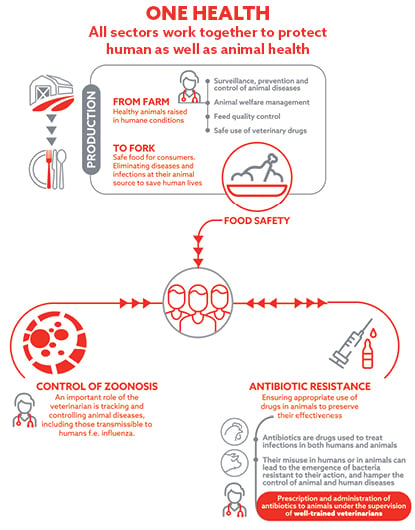 Preventive health solutions for healthier animals and humans