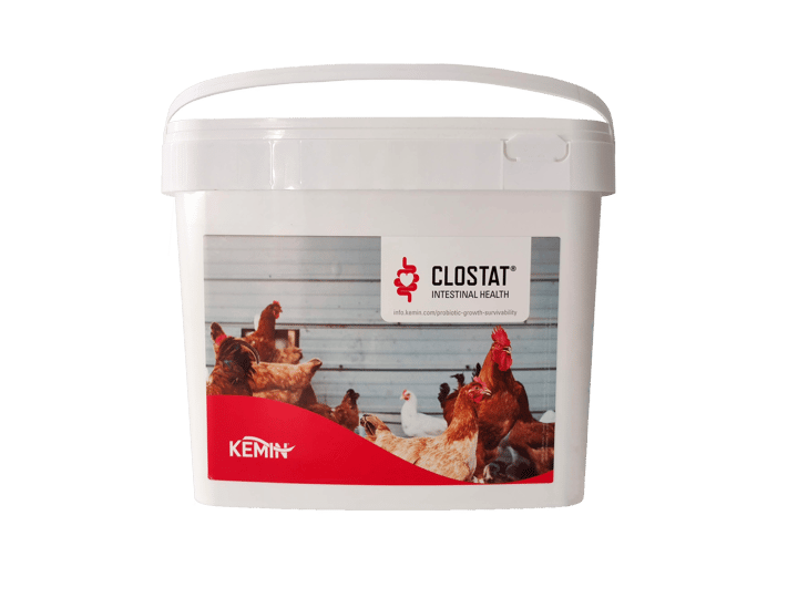 Probiotic for better uniformity growth and survivability