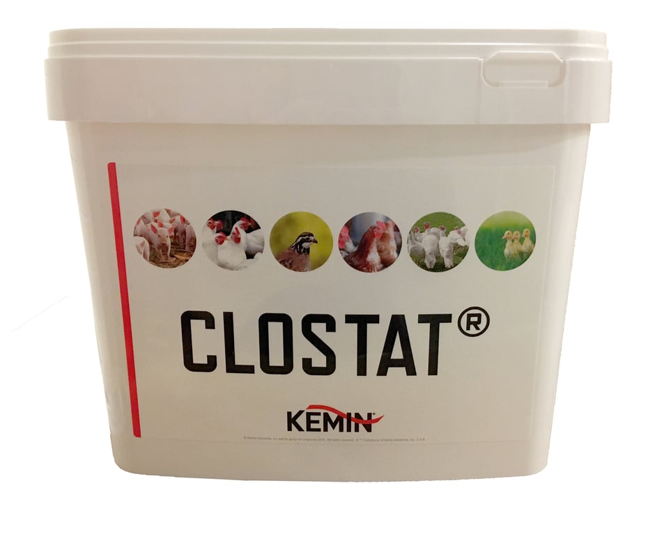 Probiotic for better uniformity growth and survivability