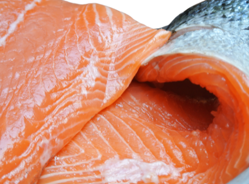 Salmon-Based Super Premium Liquid Cat and Dog Palatant